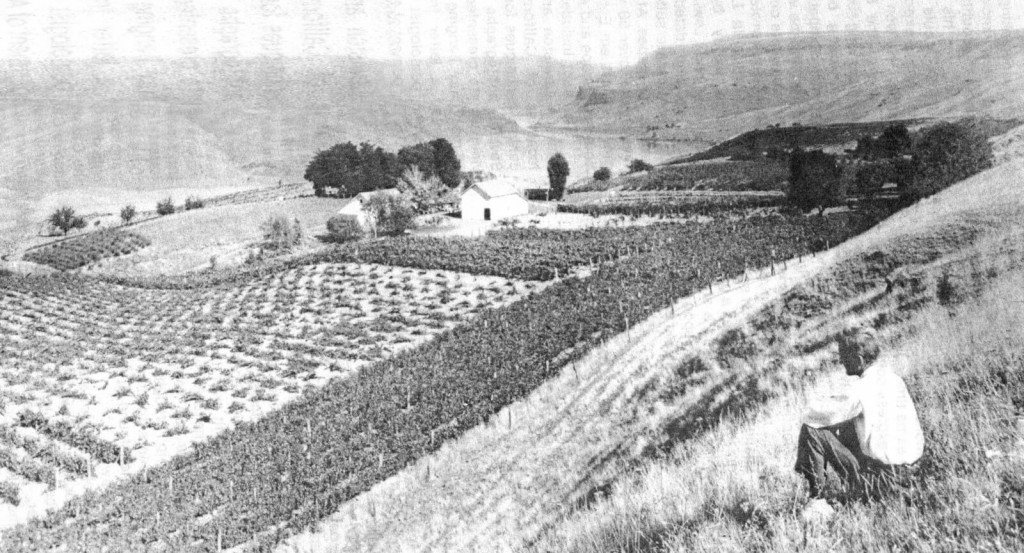 Lewis-Clark Valley Wine Alliance – Planted in 1872